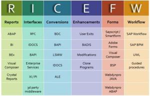 ¿Que son los RICEFW en SAP? – Medievals Trucos
